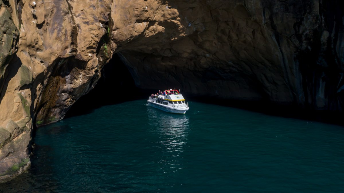 Puffin, island, and volcano boat tour | Ribsafari Boat Tours
